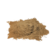 Calea Zacatechichi Dream Extract 10X | Avalon Magic Plants