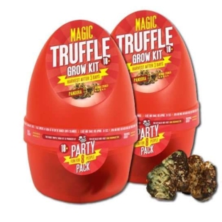 2X Growkit Pandora Magic Truffel 1 + 1 FREE | Avalon Magic Plants